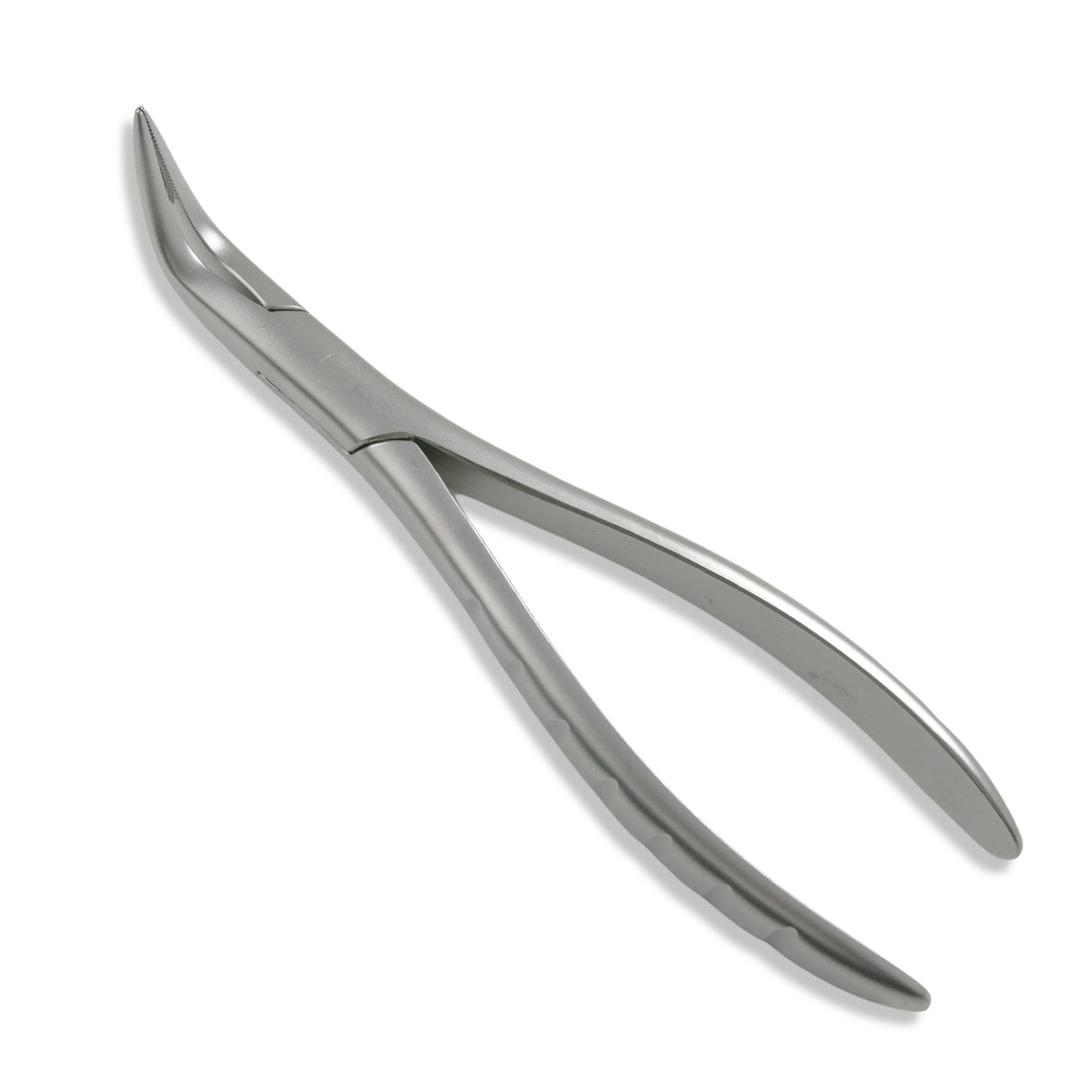Dental Extraction Forceps #301 Lower Roots Premium Osung -FX301