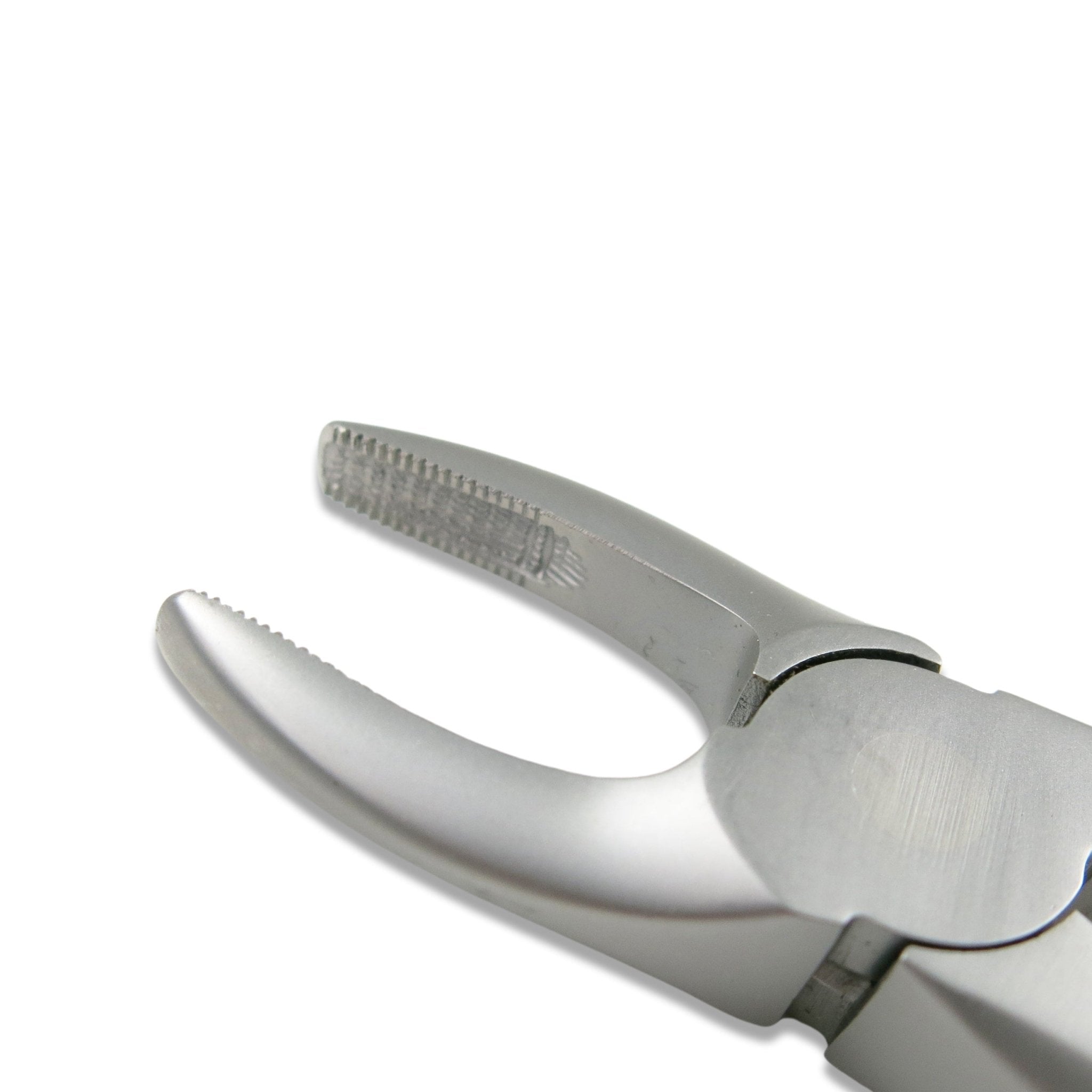 Adult Extraction Forcep, FXX2 | Osung USA